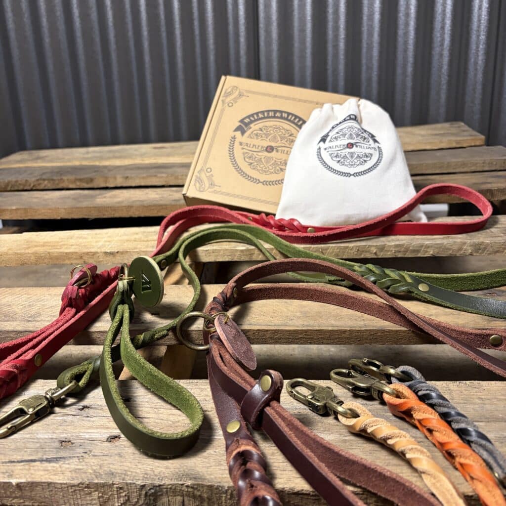 Ol' Henry LS-10 Braided Leather Leash - Walker and Williams